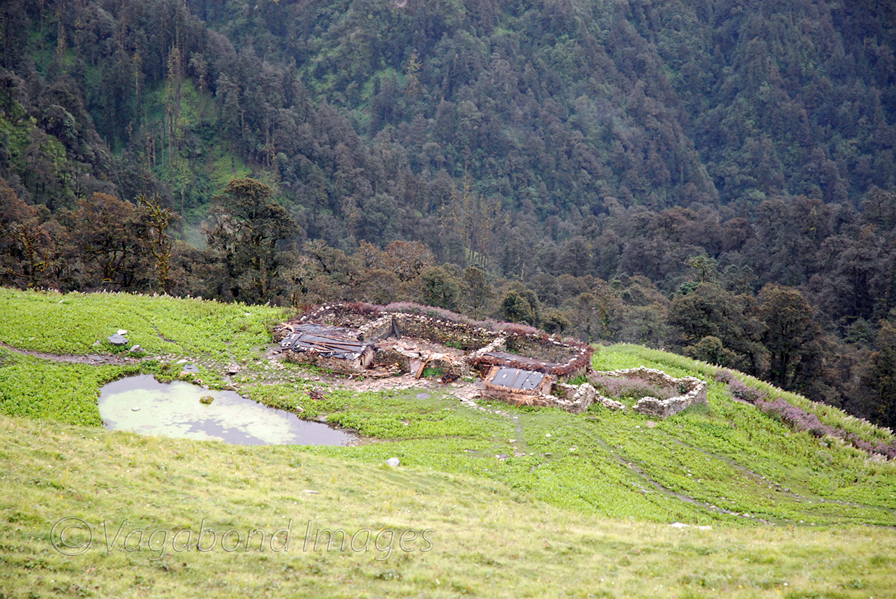 Ali Bugyal – Most beautiful but might be least visited meadow ...