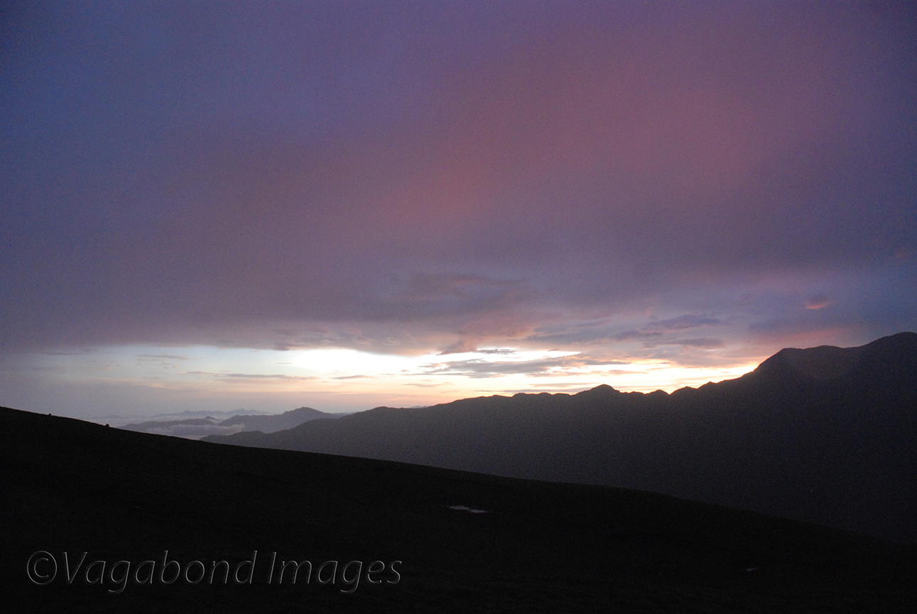 Ali Bugyal – Most beautiful but might be least visited meadow ...