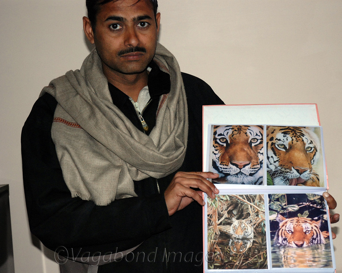 Shh… Tiger is here! – VAGABOND IMAGES